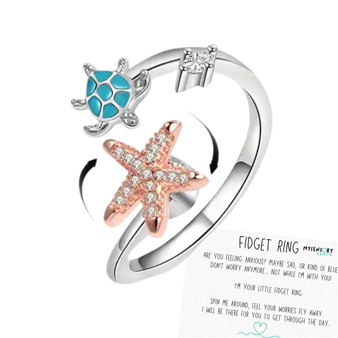 Turtle Silver Fidget Ring – My Sensory Space
